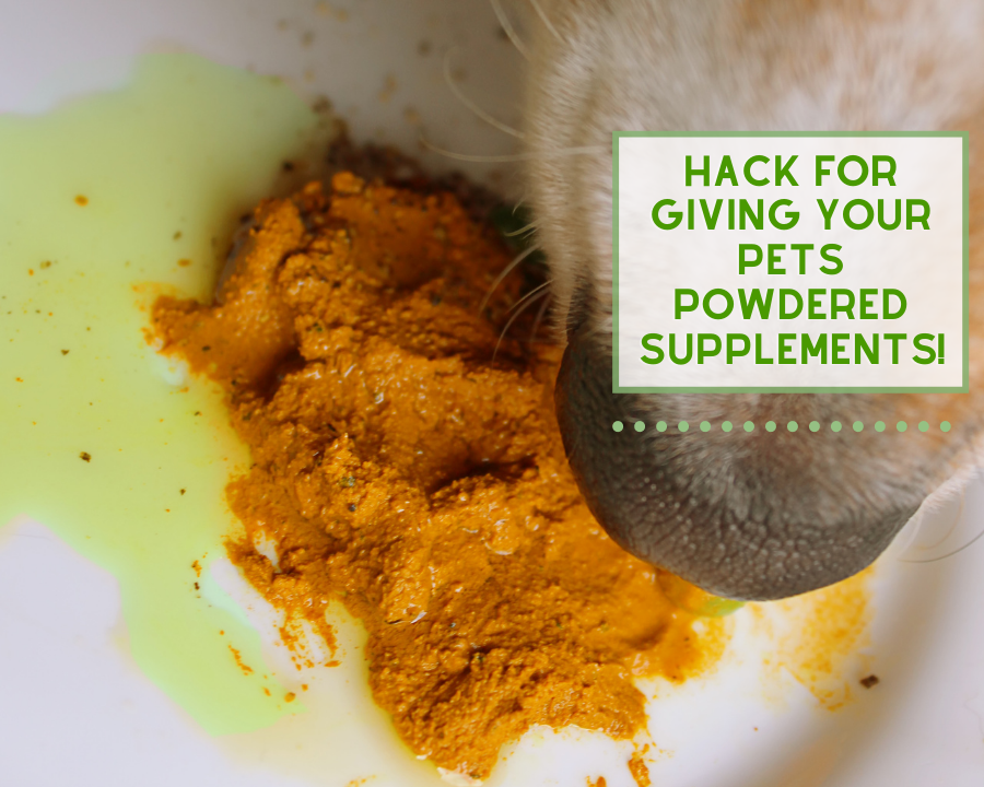 Hack for giving your Pet's Powdered Supplements! – ReNewedPet