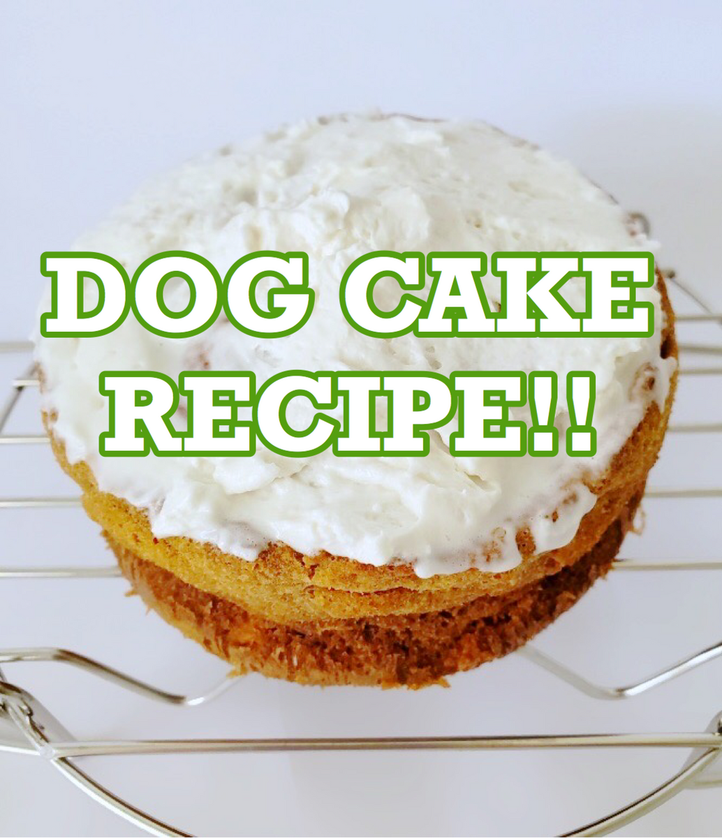 HEALTHY DOG CAKE RECIPE! – ReNewedPet
